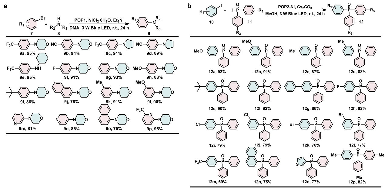 Our school has made new progress in the research of porous polymer ...